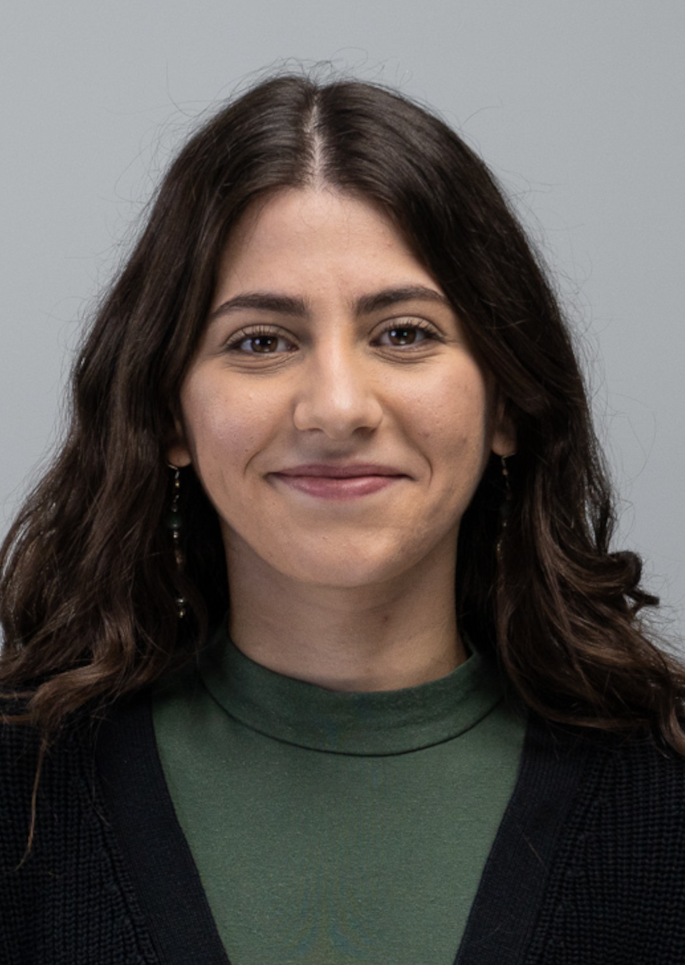 Digimentorer – Digimentor